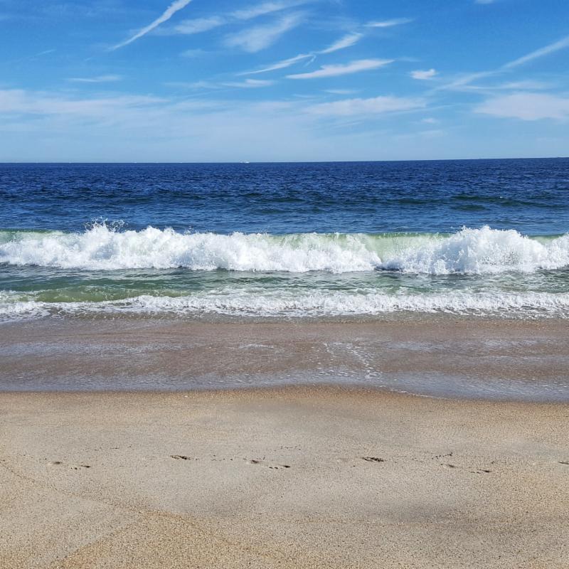 As Natural as the Ocean - Life Expression Wellness Center